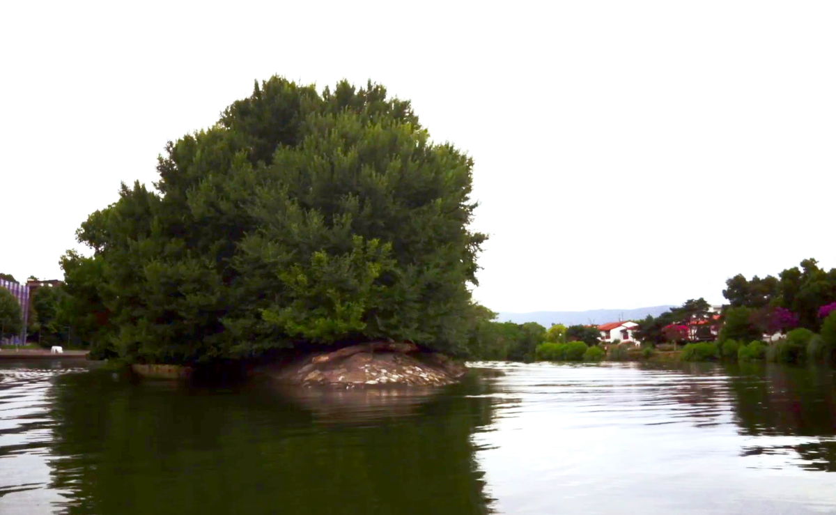 Pheasant Island Switches Countries Every Six Months - Earth is My Home